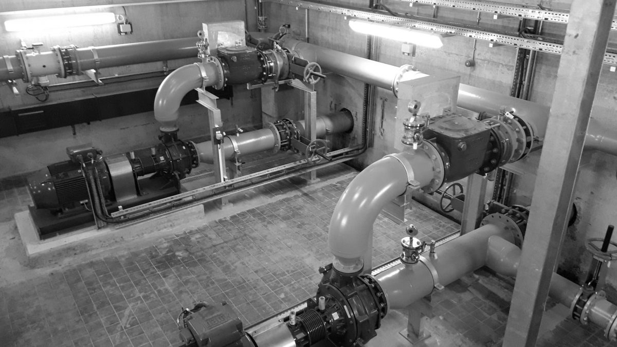 Alpha Plus Ltd - Alpha Plus