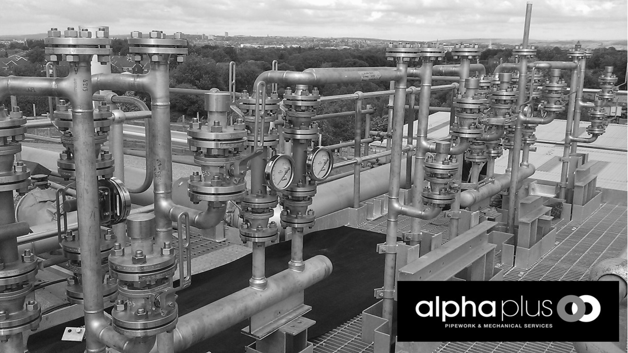 Alpha Plus Ltd - Alpha Plus