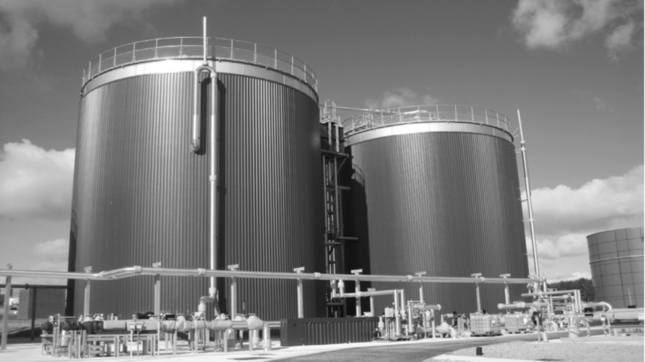 Alpha Plus Ltd - Alpha Plus